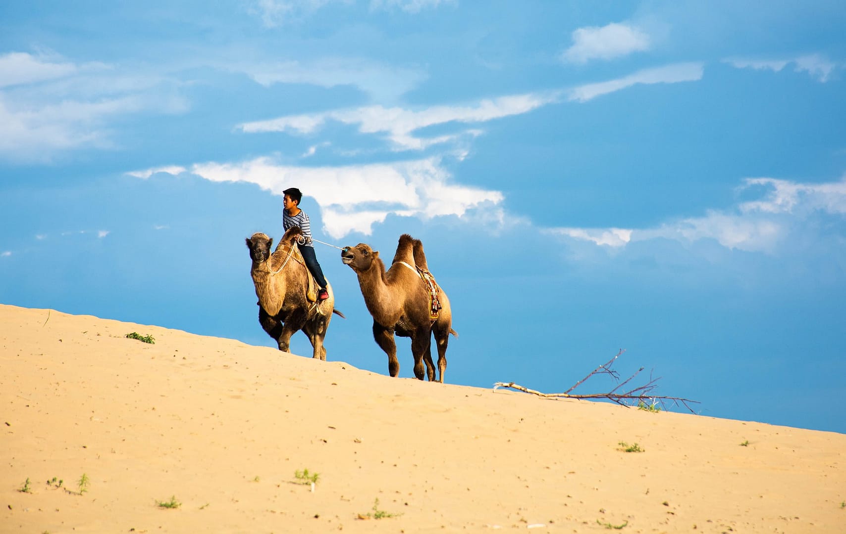 Mongolian Pictures | Photos Of Mongolia